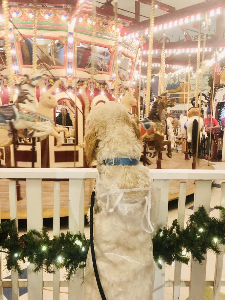 SEASIDE CAROUSEL MALL - 53 Photos & 33 Reviews - Shopping Centers - 300 ...