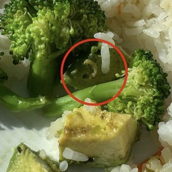 VIEWHOUSE - CENTENNIAL - 1157 Photos & 2104 Reviews - 7101 S Clinton St ...