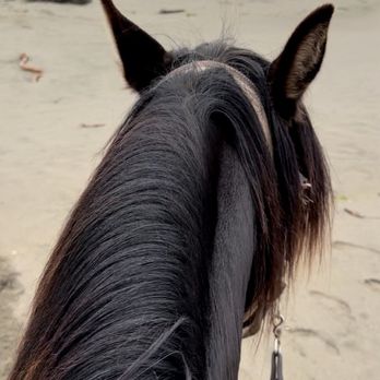 FIVE BROOKS RANCH - Updated December 2025 - 236 Photos & 396 Reviews ...