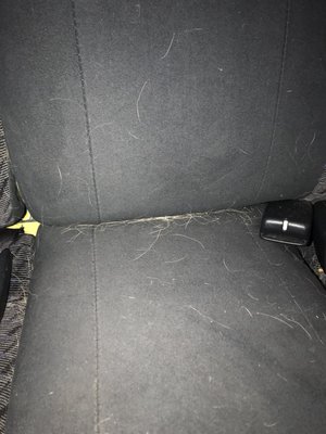 FRANKLIN AUTO SPA - Updated September 2025 - 37 Photos & 95 Reviews ...