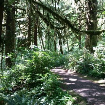 LEE WOODEN FISHHAWK FALLS PARK - Updated October 2025 - 202 Hwy ...