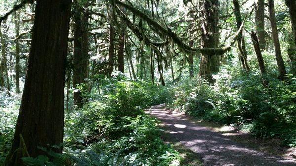 LEE WOODEN FISHHAWK FALLS PARK - Updated October 2025 - 202 Hwy ...