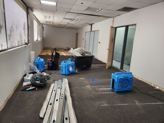 ADVANCED RESTORATION - Updated December 2025 - 43 Photos & 43 Reviews ...