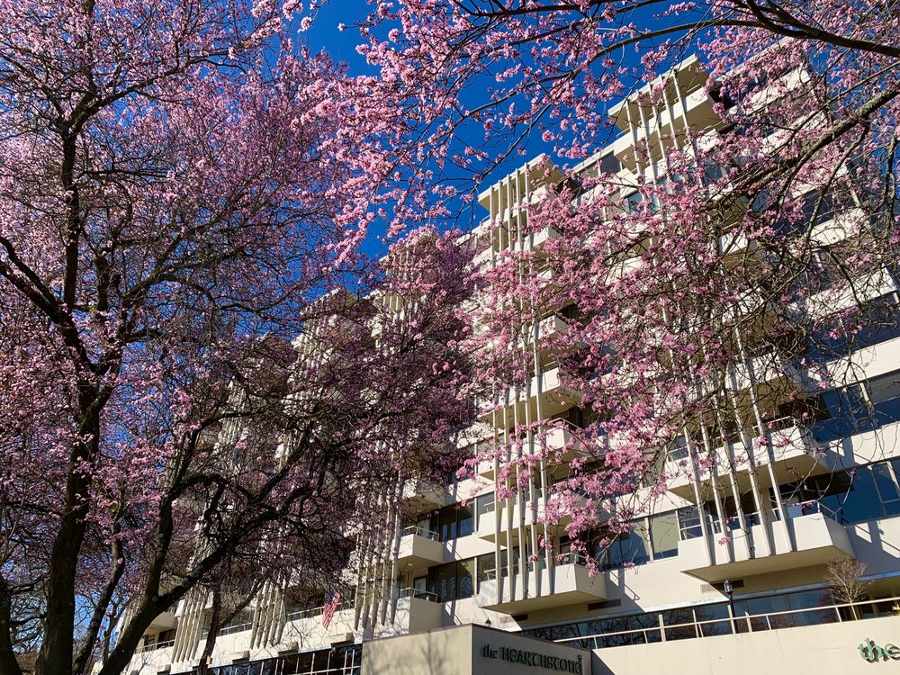 THE HEARTHSTONE AT GREEN LAKE - Updated December 2024 - 14 Photos ...