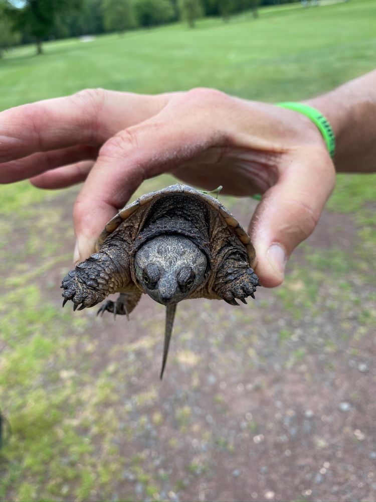 HAWORTH COUNTRY CLUB - Updated March 2025 - 83 Photos - 5 Lake Shore Dr ...