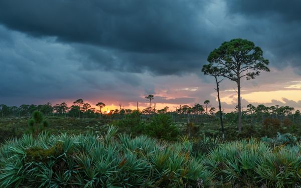 TIMBERLINE GLAMPING JUPITER - Updated May 2024 - 16450 SE Federal Hwy ...
