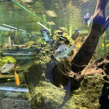 STRICTLY REEF - Updated December 2025 - 122 Photos & 68 Reviews - 907 W ...