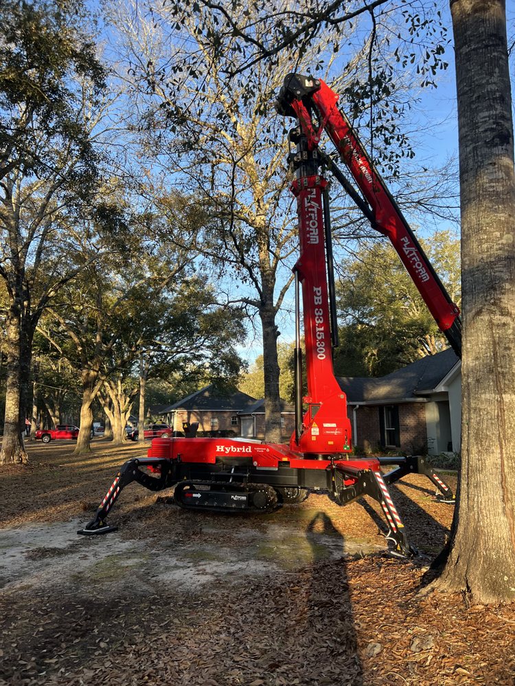 SINGLETARY’S TREE SERVICE - Updated November 2025 - 34 Photos - 36095 ...