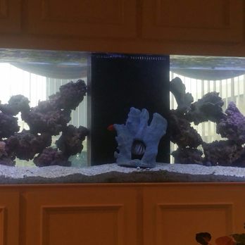 WAYNE R KIRKHAM, MD - Updated October 2025 - 11 Reviews - 7777 Forest ...