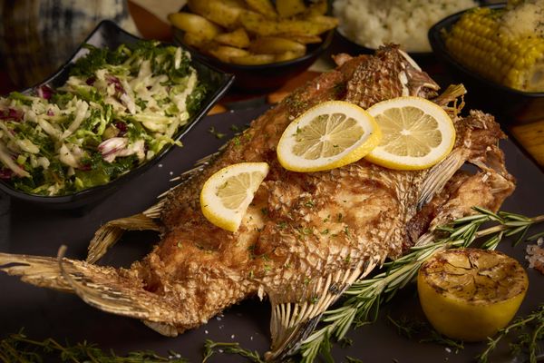 EL TORO LOCO RANCH - Updated July 2025 - 88 Photos & 31 Reviews - 16901 ...