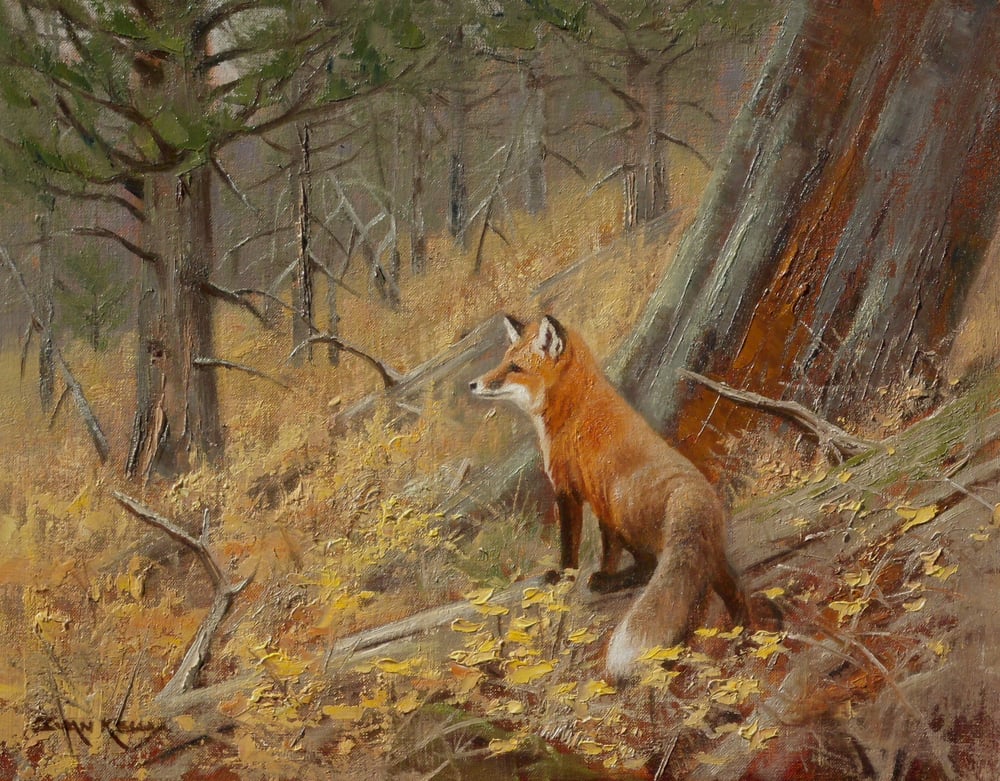 IVAN KELLY GALLERY - Updated August 2025 - 207 E Graham St, Toledo ...