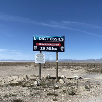 U-DIG FOSSILS - Updated December 2025 - 58 Photos & 29 Reviews - Death ...