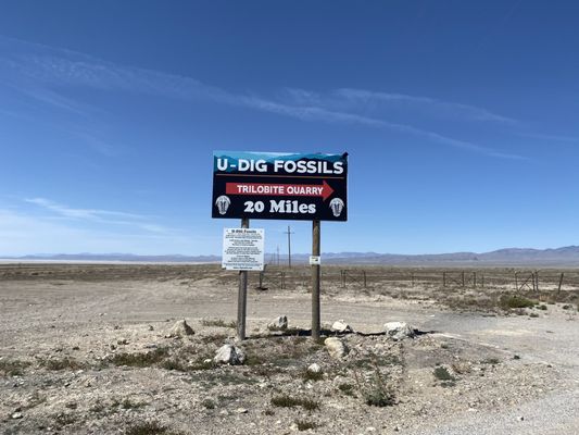 U-DIG FOSSILS - Updated June 2024 - 42 Photos & 22 Reviews - Death ...