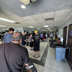 EASIRENT RENT A CAR - Updated December 2025 - 177 Photos & 407 Reviews ...