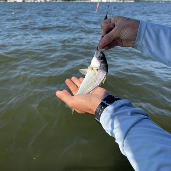 FAMILY FISHING ADVENTURES - Updated August 2025 - 76 Photos & 54 ...