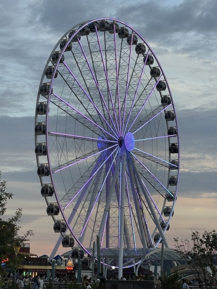 The Seattle Great Wheel, Seattle | Roadtrippers