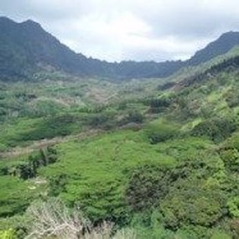 HO’OULU ‘AINA - Updated December 2025 - 18 Photos & 12 Reviews - 3659 Kalihi St, Honolulu ...