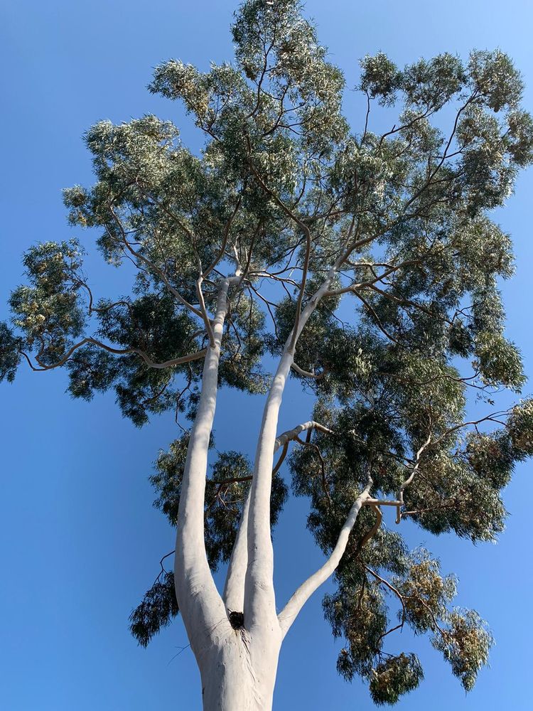 PACIFIC COAST MANAGEMENT - Updated August 2024 - 36 Reviews - 4515 E ...