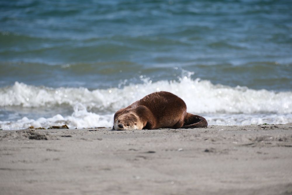 POINT NO POINT LIGHTHOUSE & PARK - Updated December 2025 - 74 Photos ...
