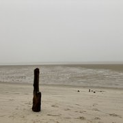 CHAPIN MEMORIAL BEACH - 83 Photos & 30 Reviews - Dennis, MA - Yelp