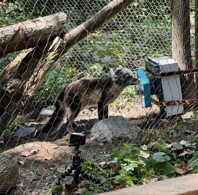 STONE ZOO - Updated September 2025 - 239 Photos & 213 Reviews - 149 ...