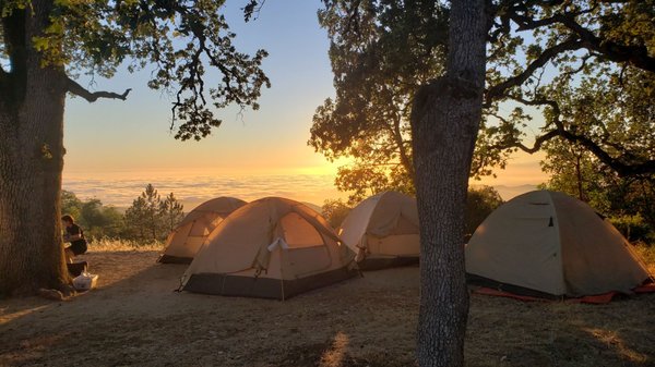 FREMONT PEAK STATE PARK - Updated December 2025 - 165 Photos & 39 ...