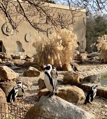 LEHIGH VALLEY ZOO - 78 Photos & 48 Reviews - Zoos - 5150 Game Preserve ...