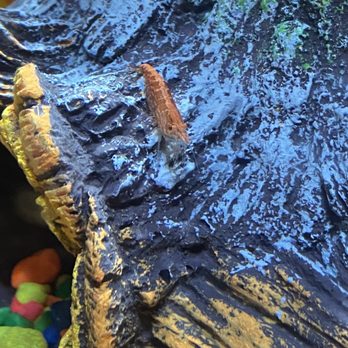 THAT FISH PLACE - THAT PET PLACE - Updated January 2026 - 149 Photos ...