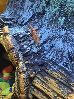 THAT FISH PLACE - THAT PET PLACE - 120 Photos & 112 Reviews - 237 ...