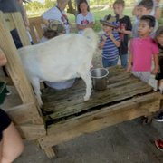 THE LITTLE FARM - 135 Photos & 53 Reviews - Pumpkin Patches - 13401 SW ...