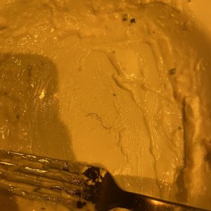 THE FISH HOUSE - 37 Photos & 106 Reviews - 4919 N University St, Peoria ...