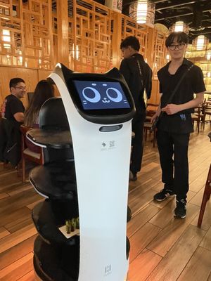 JAPAN HOUSE - IRVING - Updated April 2025 - 476 Photos & 167 Reviews ...