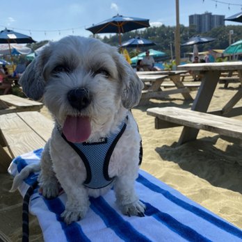 THE SANDBOX AT SEASTREAK BEACH - Updated August 2025 - 43 Photos & 30 ...