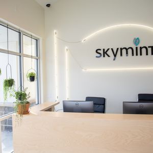 CLOUD CANNABIS - Updated May 2025 - 621 Fulton St W, Grand Rapids ...