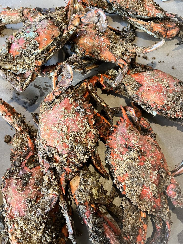 OCEAN PRIDE SEAFOOD - Updated April 2026 - 188 Photos & 292 Reviews ...