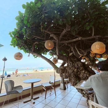 HAU TREE - Updated March 2025 - 2655 Photos & 834 Reviews - 2863 ...