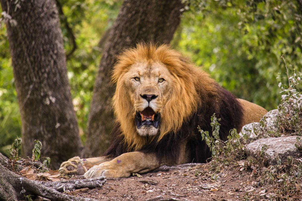 STEPHANIE SUTHERLAND PHOTOGRAPHY - Updated June 2024 - 31 Photos ...