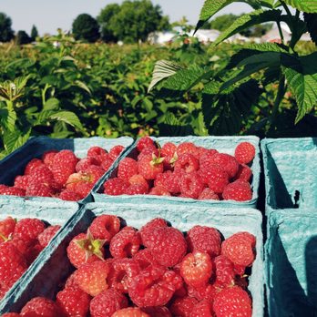 HEIDER’S BERRY FARM - Updated December 2025 - 38 Photos & 17 Reviews ...