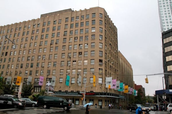 LIU BROOKLYN - LONG ISLAND UNIVERSITY - Updated December 2025 - 78 ...