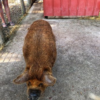 FIR POINT FARMS - Updated April 2024 - 148 Photos & 88 Reviews - 14601 ...