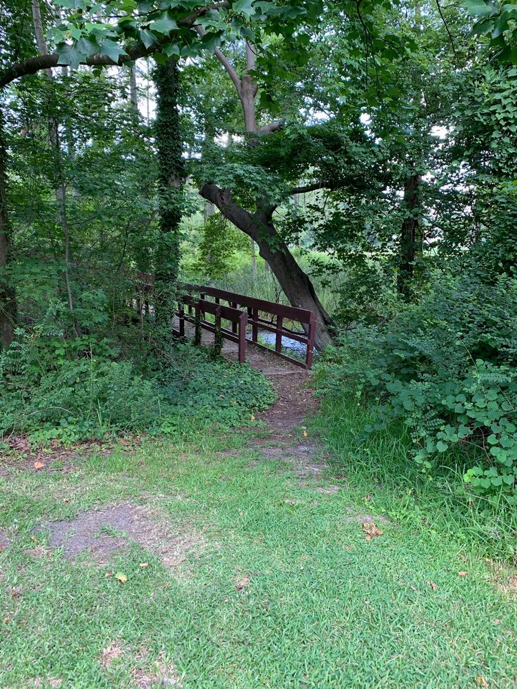 DEEP CREEK LOCK PARK - Updated June 2024 - 87 Photos - 300 Luray St ...