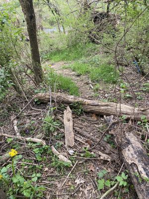 CASON TRAIL GREENWAY PARK AND TRAILHEAD - Updated April 2025 - 27 ...