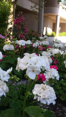 Z J LOUSSAC PUBLIC LIBRARY - Updated October 2025 - 44 Photos & 29 ...