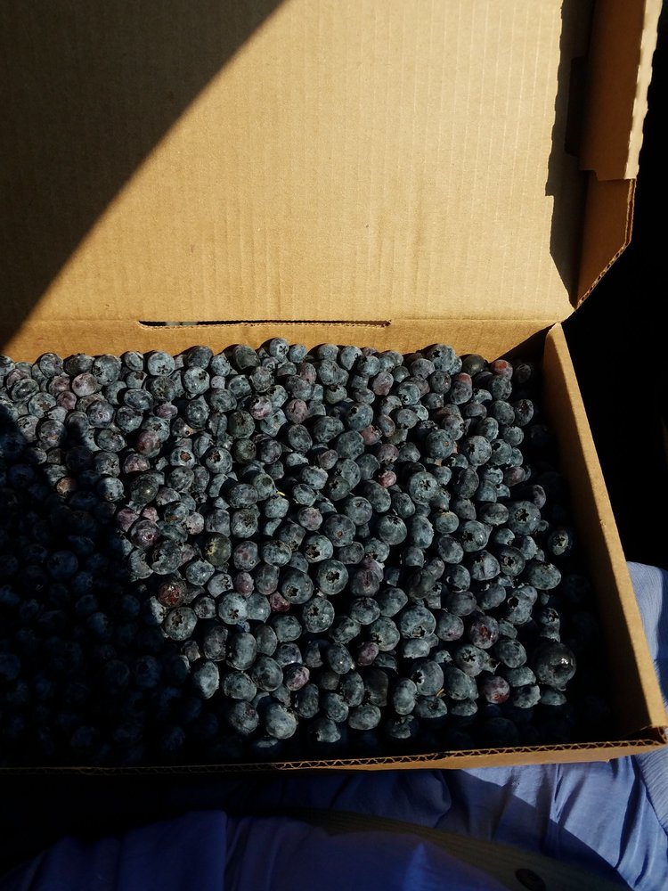 SCHEMENAUER FARMS - Updated September 2025 - 26980 County Road 215 ...