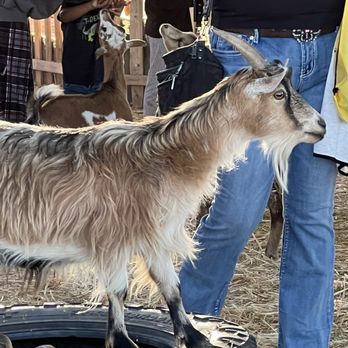 VERTUCCIO FARMS - Updated December 2025 - 336 Photos & 163 Reviews ...