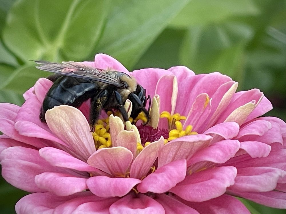 HOWARD FAMILY FARM - Updated January 2026 - 68 Photos & 12 Reviews ...