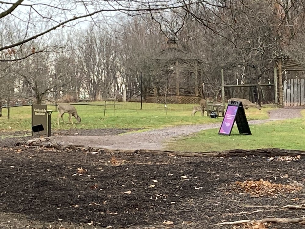 PITTSBURGH BOTANIC GARDEN - 461 Photos & 37 Reviews - 799 Pinkerton Run ...