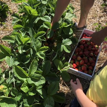 FOUR TOWN FARM - Updated June 2025 - 126 Photos & 83 Reviews - 90 ...