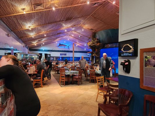 DILLON’S KC BBQ AT WILDLIFE WORLD ZOO - Updated July 2025 - 453 Photos ...