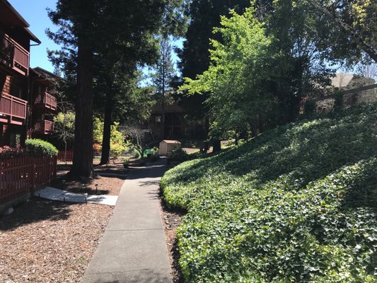 BROOKDALE SENIOR LIVING - CHANATE - Updated December 2025 - 19 Photos ...